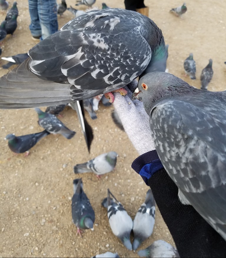 7 Things You Must Do on Your First Trip to Paris – adventure and the girl