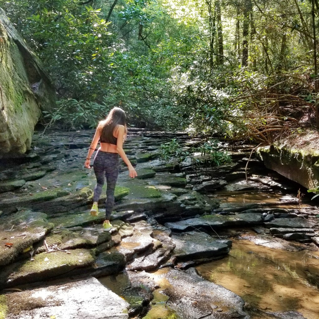 A Hidden Gem in East Tennessee: Obed Wild & Scenic River Hike ...