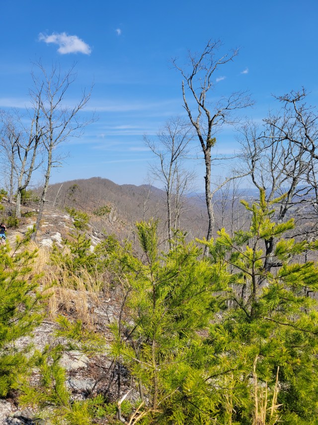 East Tennessee Hike: Hiking Devil’s Racetrack Trail to Triple Falls ...