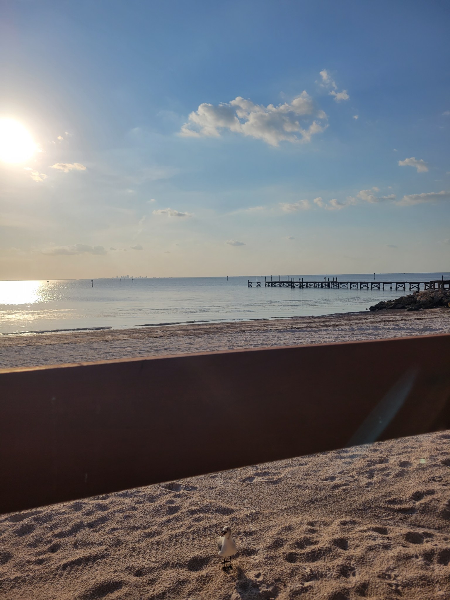 Best Things to Do & Places to Eat in Apollo Beach, Florida – adventure ...