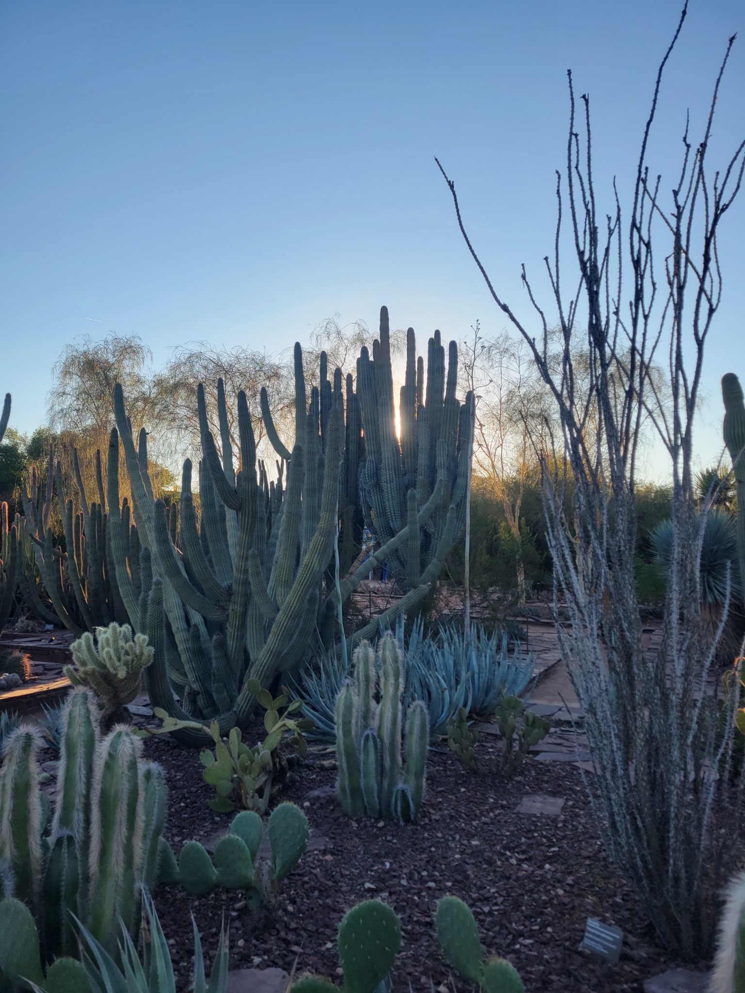 Unique Things to Do and Places to Eat Around Phoenix, Arizona ...