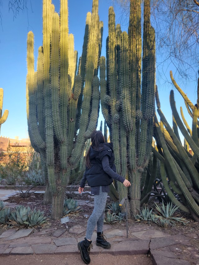 Unique Things to Do and Places to Eat Around Phoenix, Arizona ...