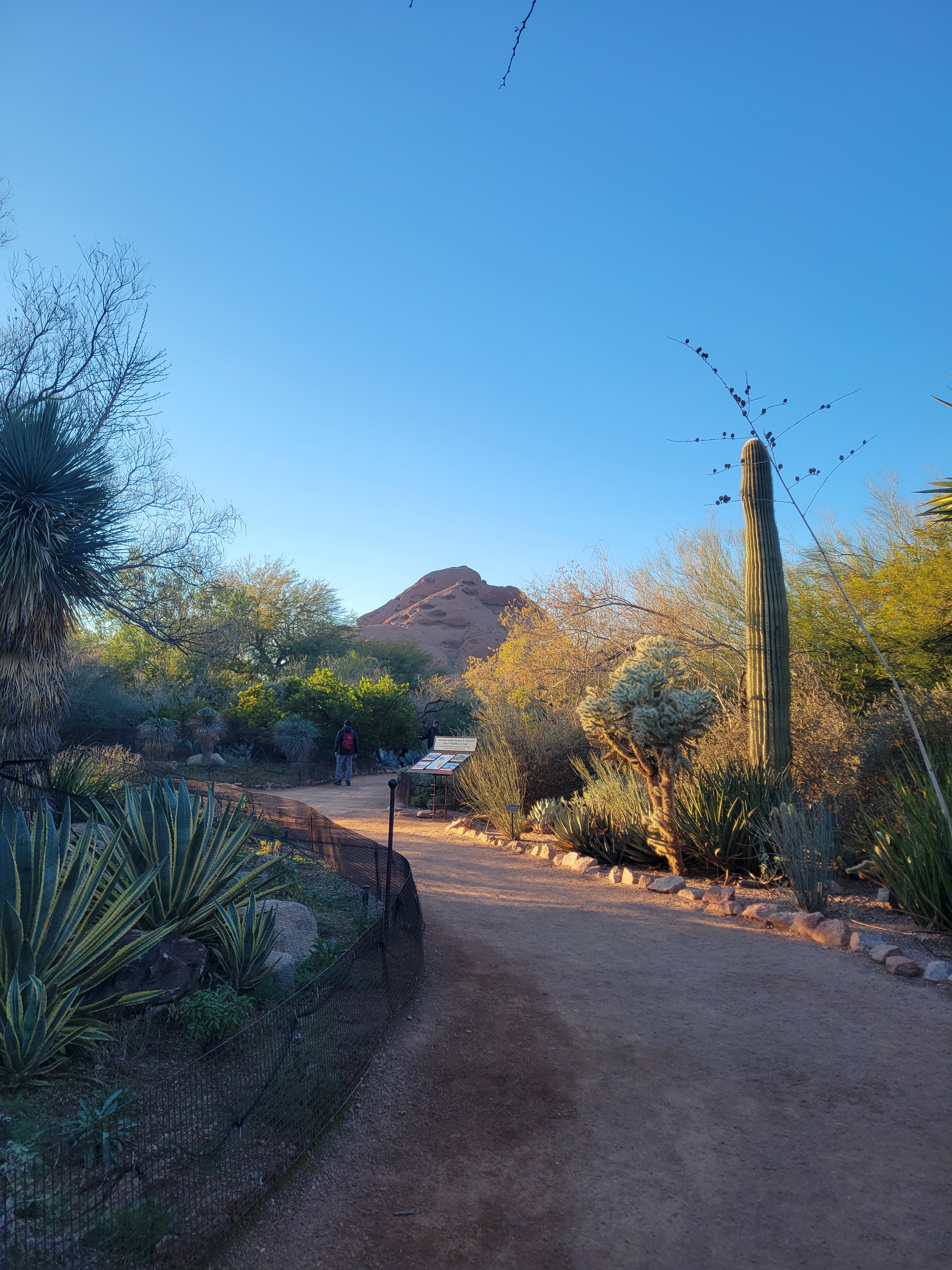 Unique Things to Do and Places to Eat Around Phoenix, Arizona ...