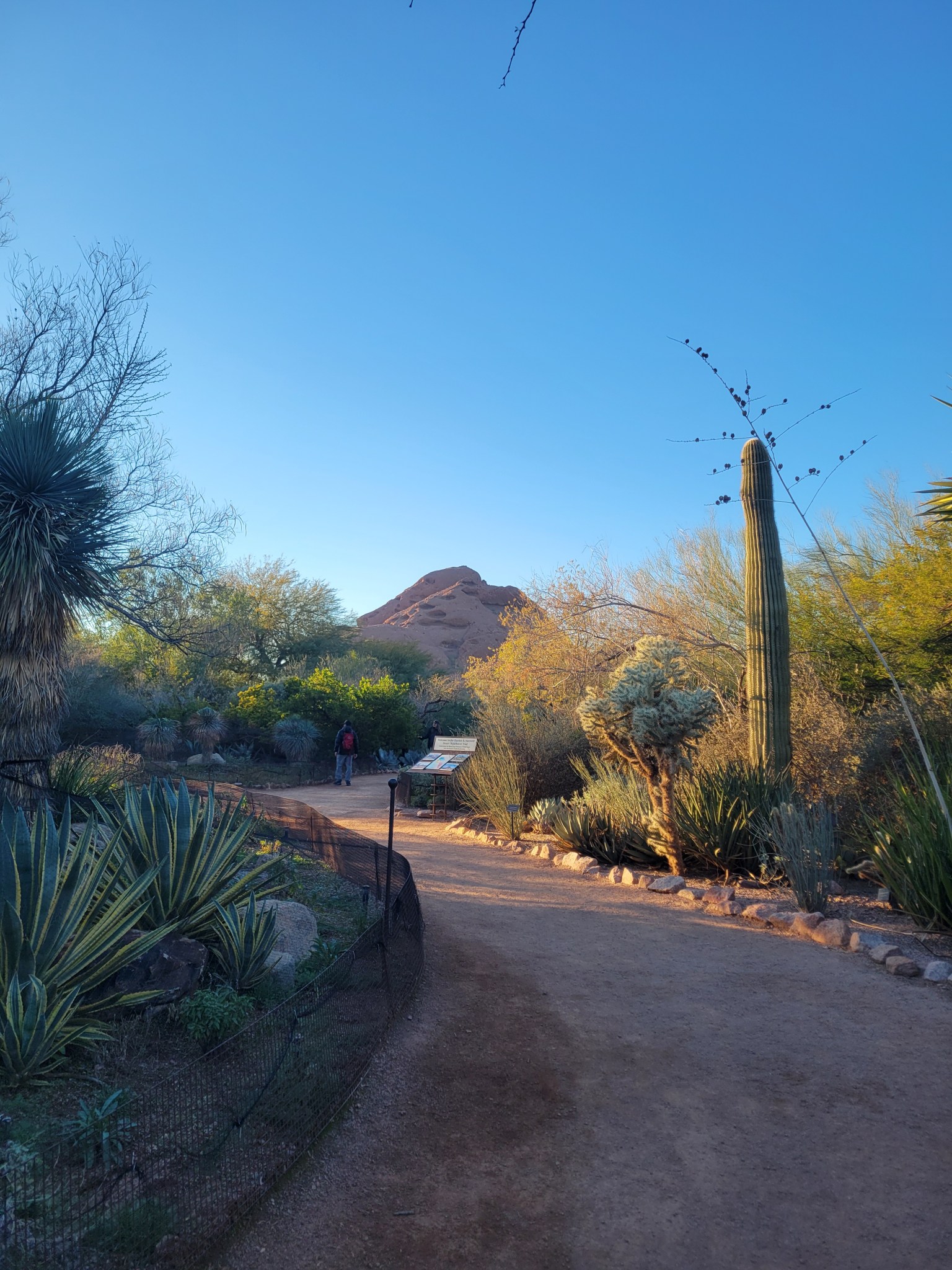 Unique Things to Do and Places to Eat Around Phoenix, Arizona ...