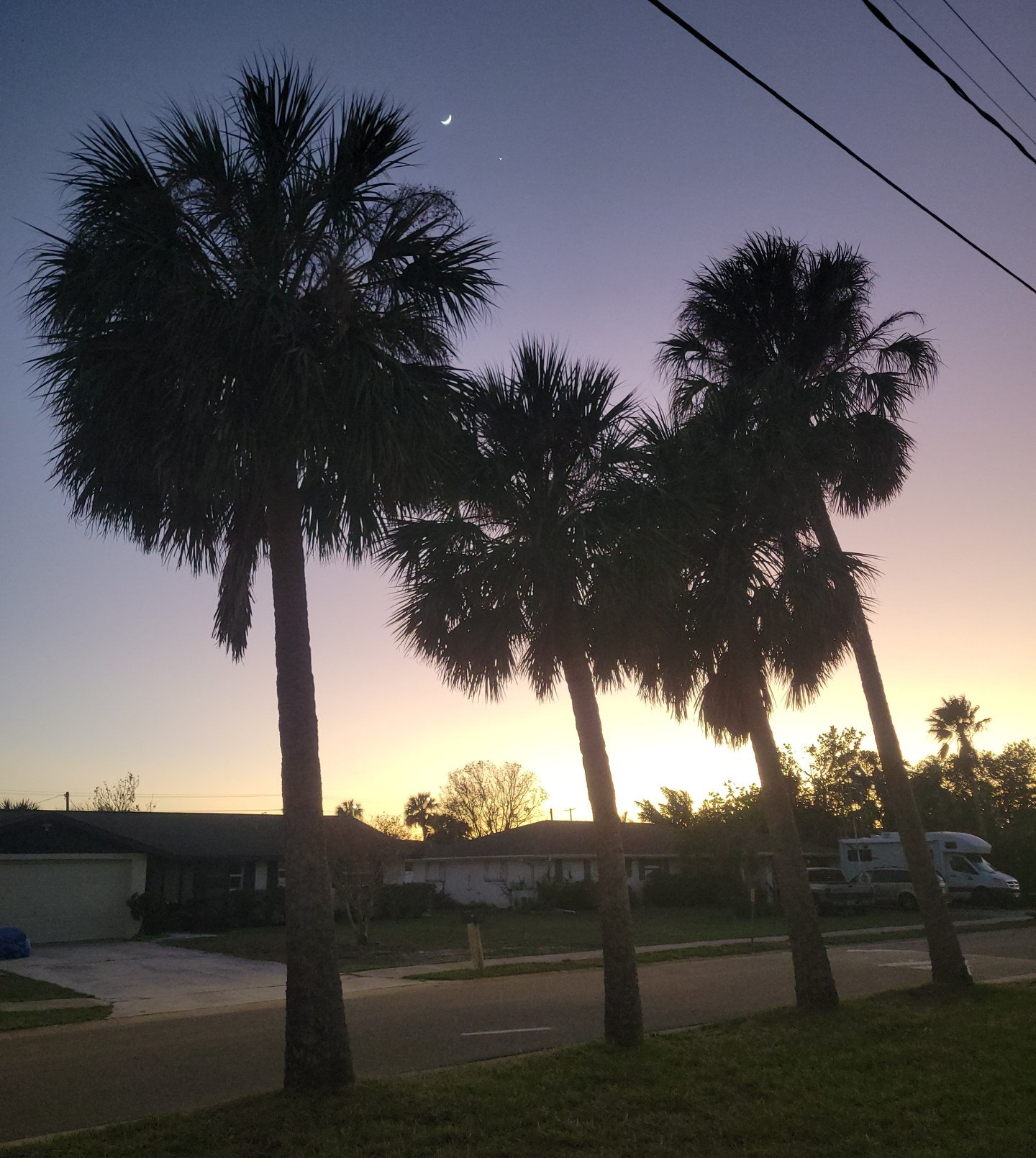 What Is the Significance of Palm Trees in the Bible? – adventure and ...